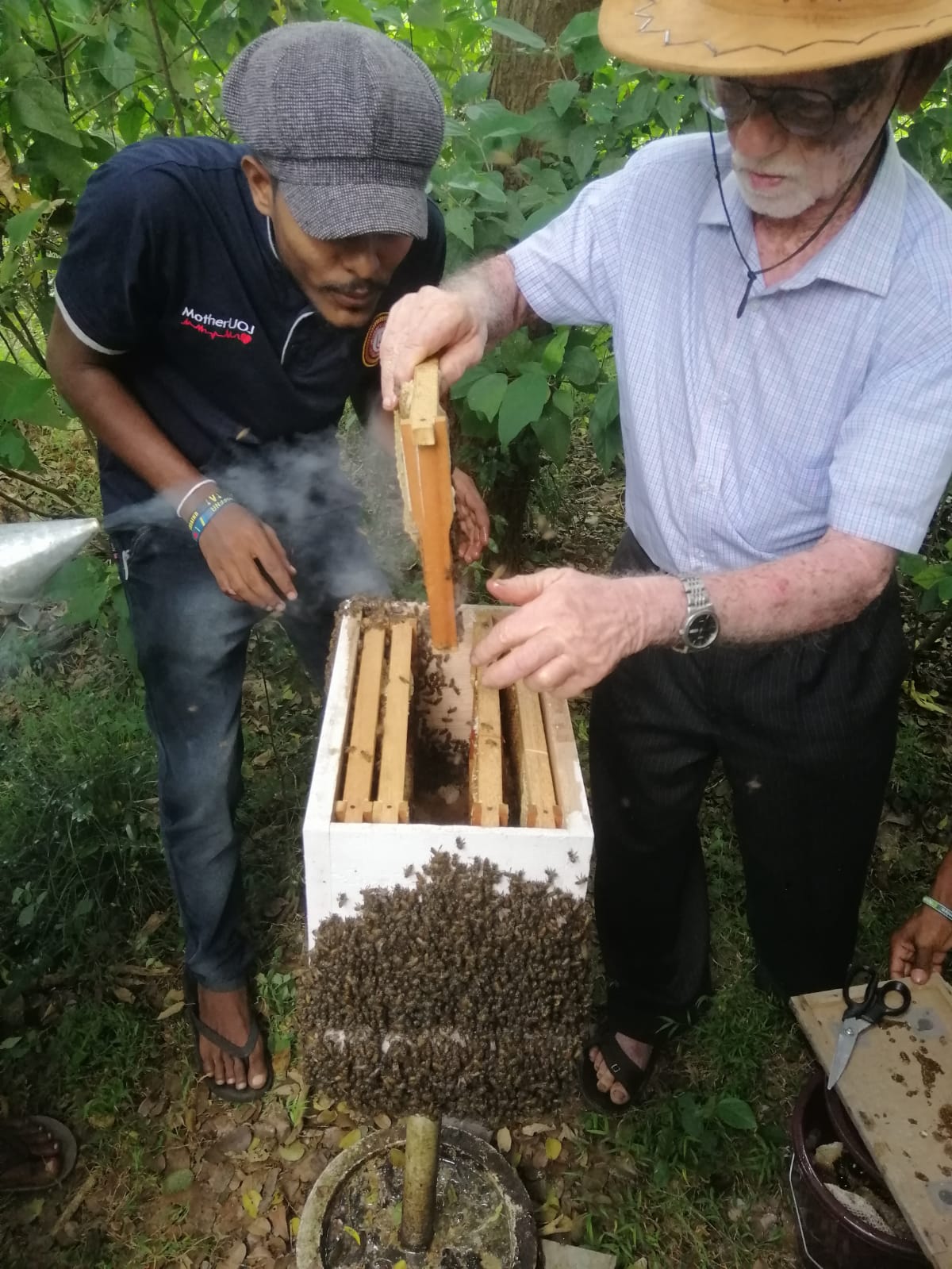 Workshop – Superbox maintenance, honey extraction techniques, and queen ...