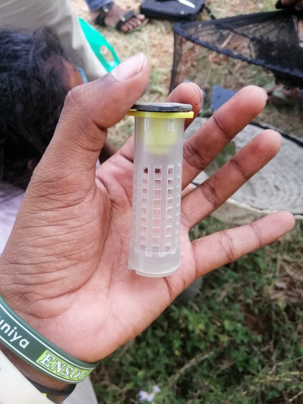 Workshop – Superbox maintenance, honey extraction techniques, and queen ...